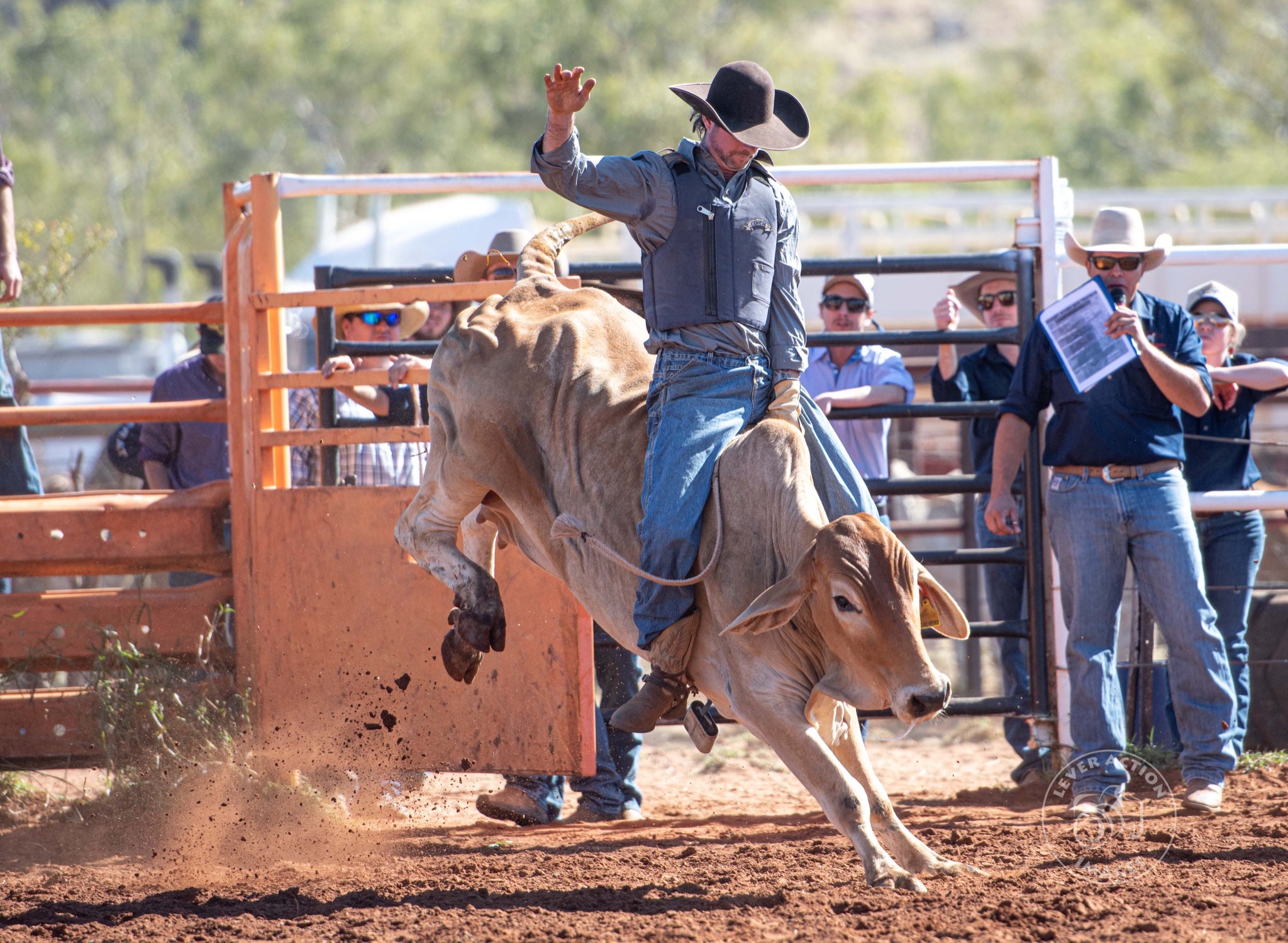 Quamby Rodeo - Wild Cow Ride – NQ Rodeo Hub