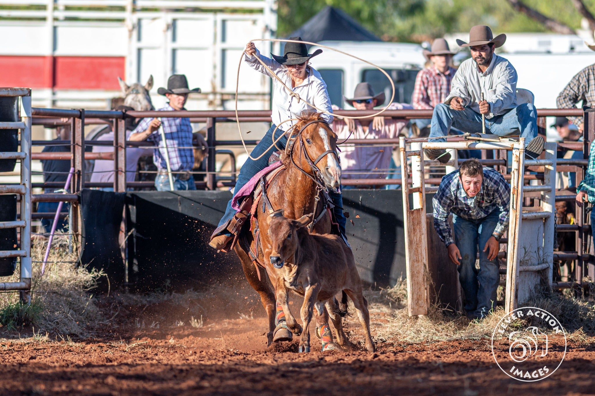 Quamby Rodeo - Ladies Breakaway Roping – NQ Rodeo Hub