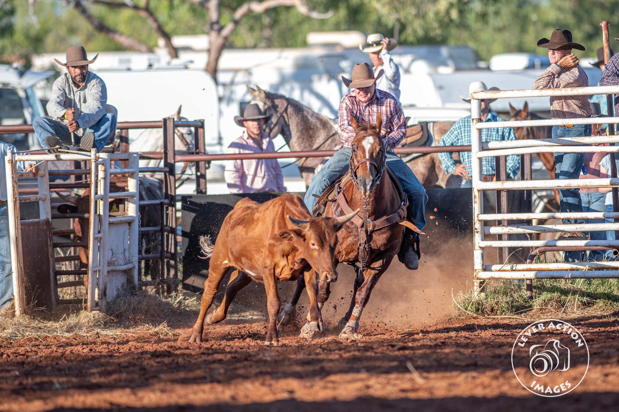 Quamby Rodeo - Steer Wrestling – NQ Rodeo Hub