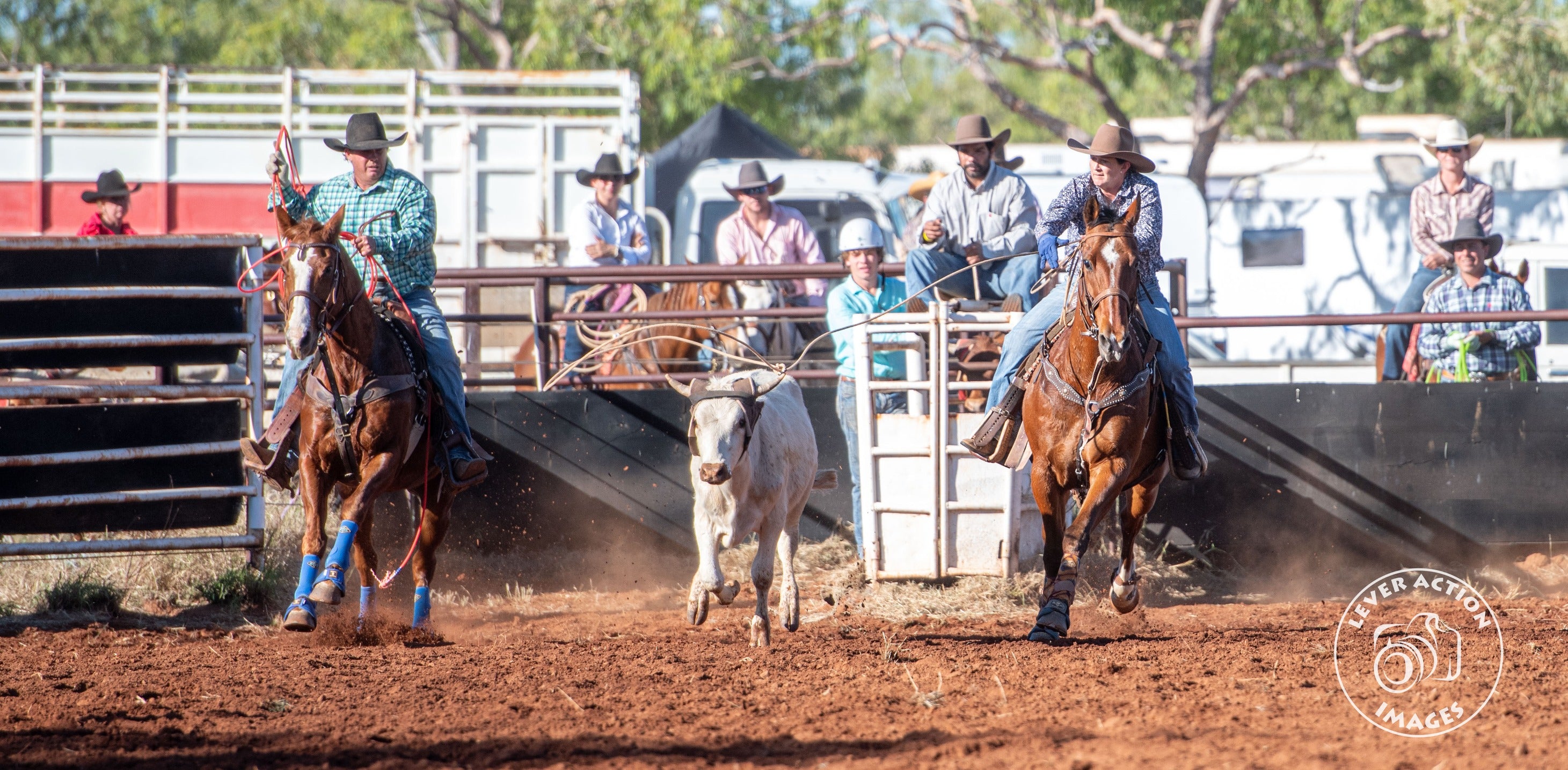 Quamby Rodeo - Team Roping – NQ Rodeo Hub