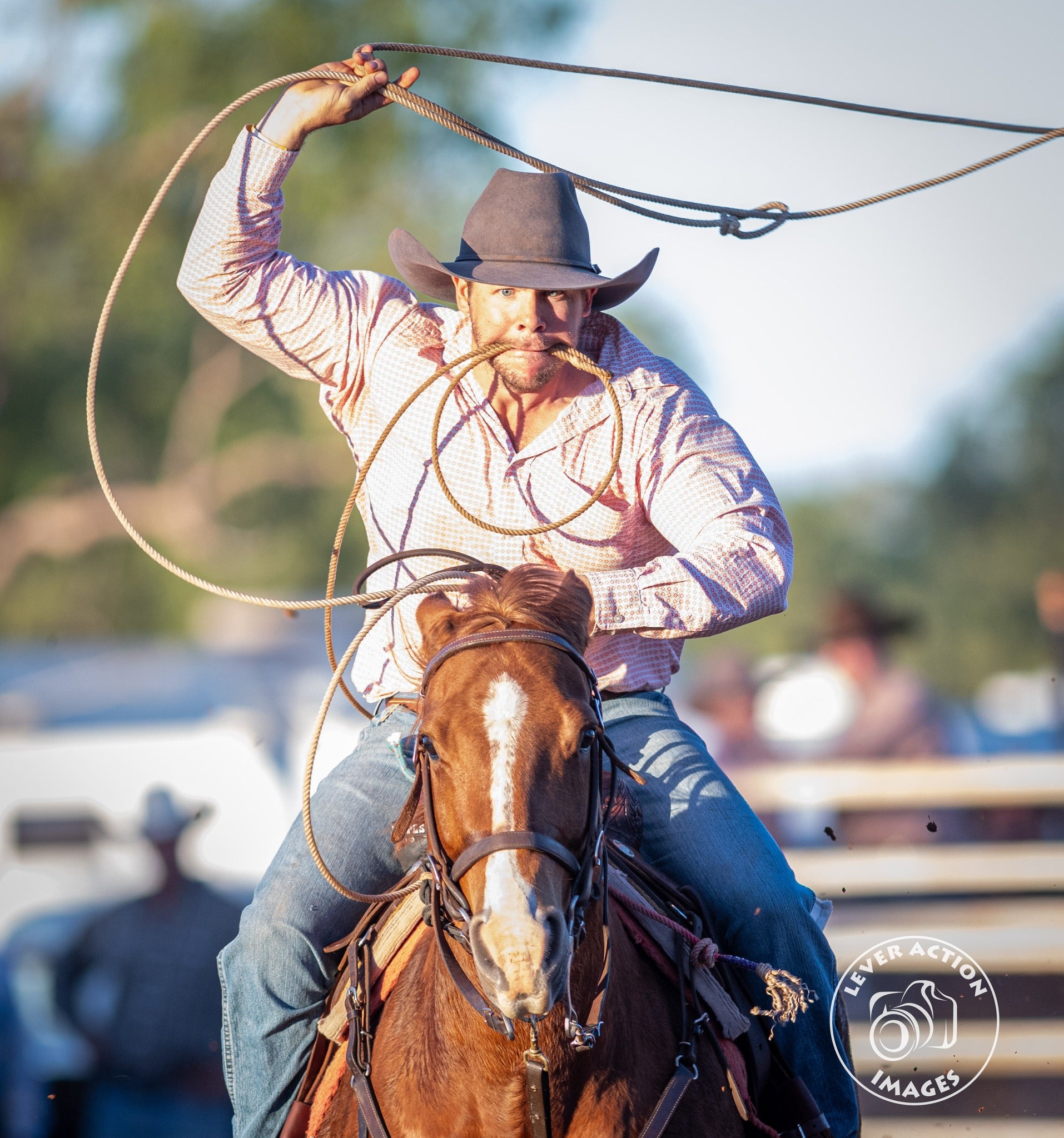 Quamby Rodeo - Calf Roping – NQ Rodeo Hub