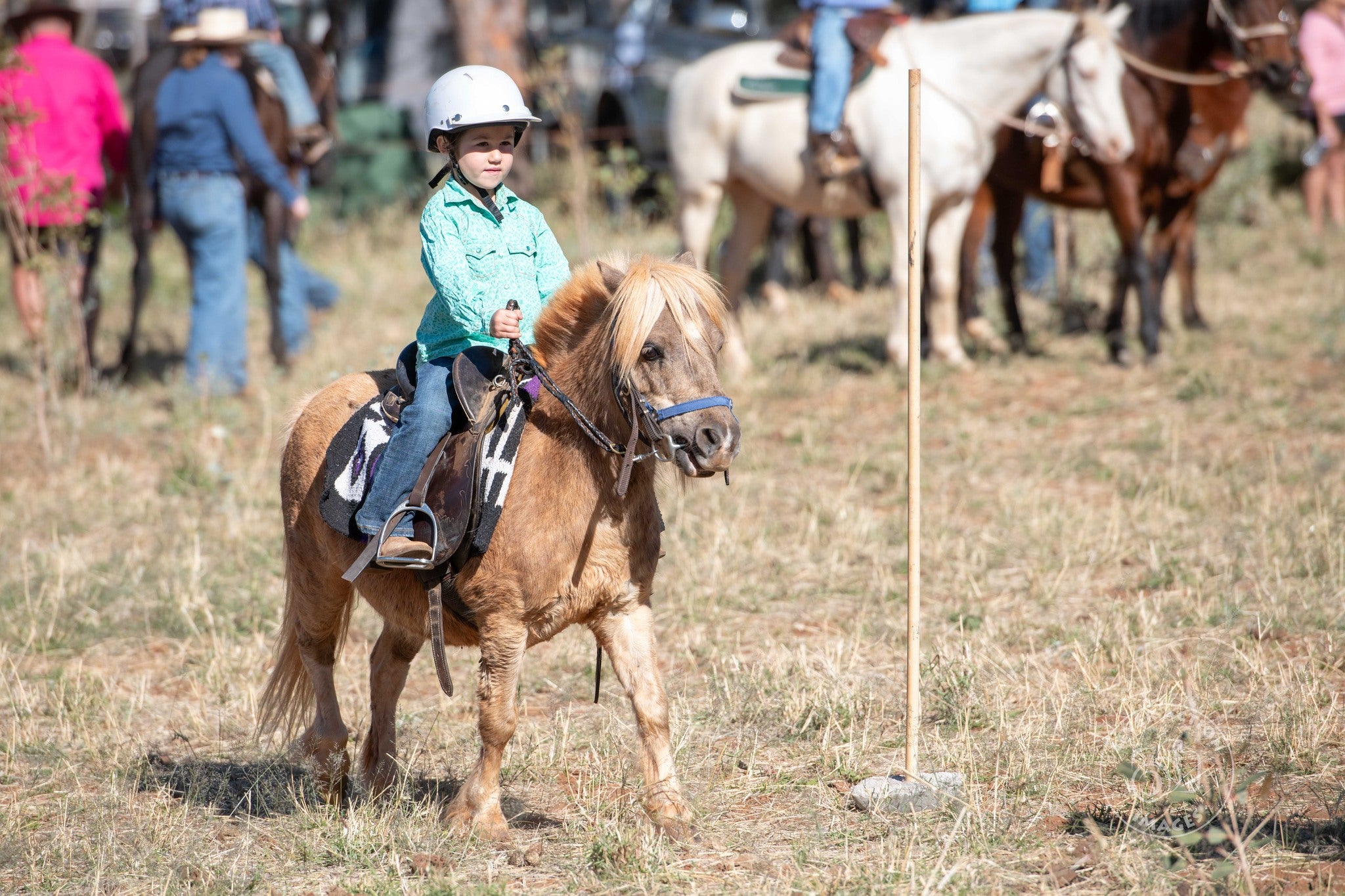 Quamby Rodeo - Pony Club – NQ Rodeo Hub
