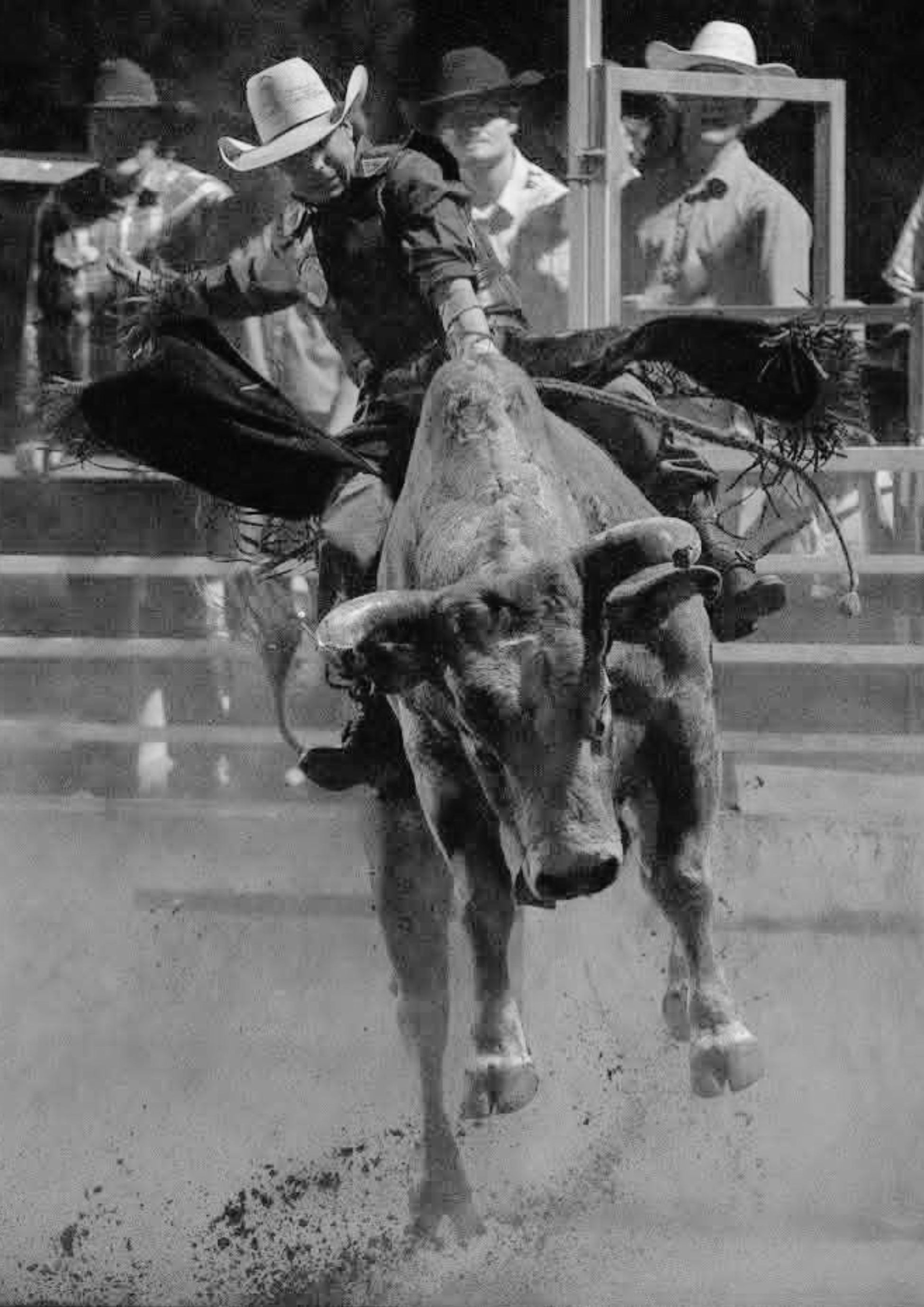 Normanton Rodeo – NQ Rodeo Hub