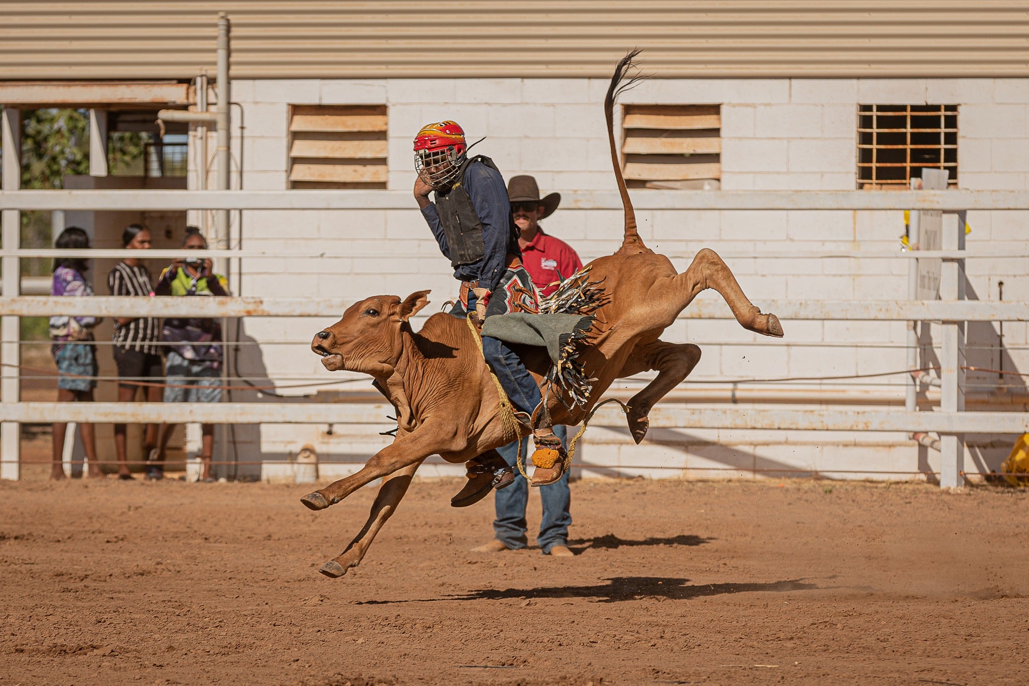 Normanton - Calf Ride (7-11yrs) – NQ Rodeo Hub