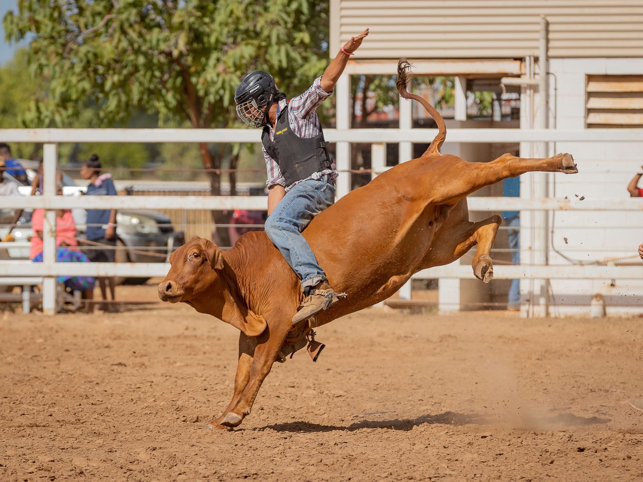 Normanton - Junior Steer Ride (12-15yrs) – NQ Rodeo Hub