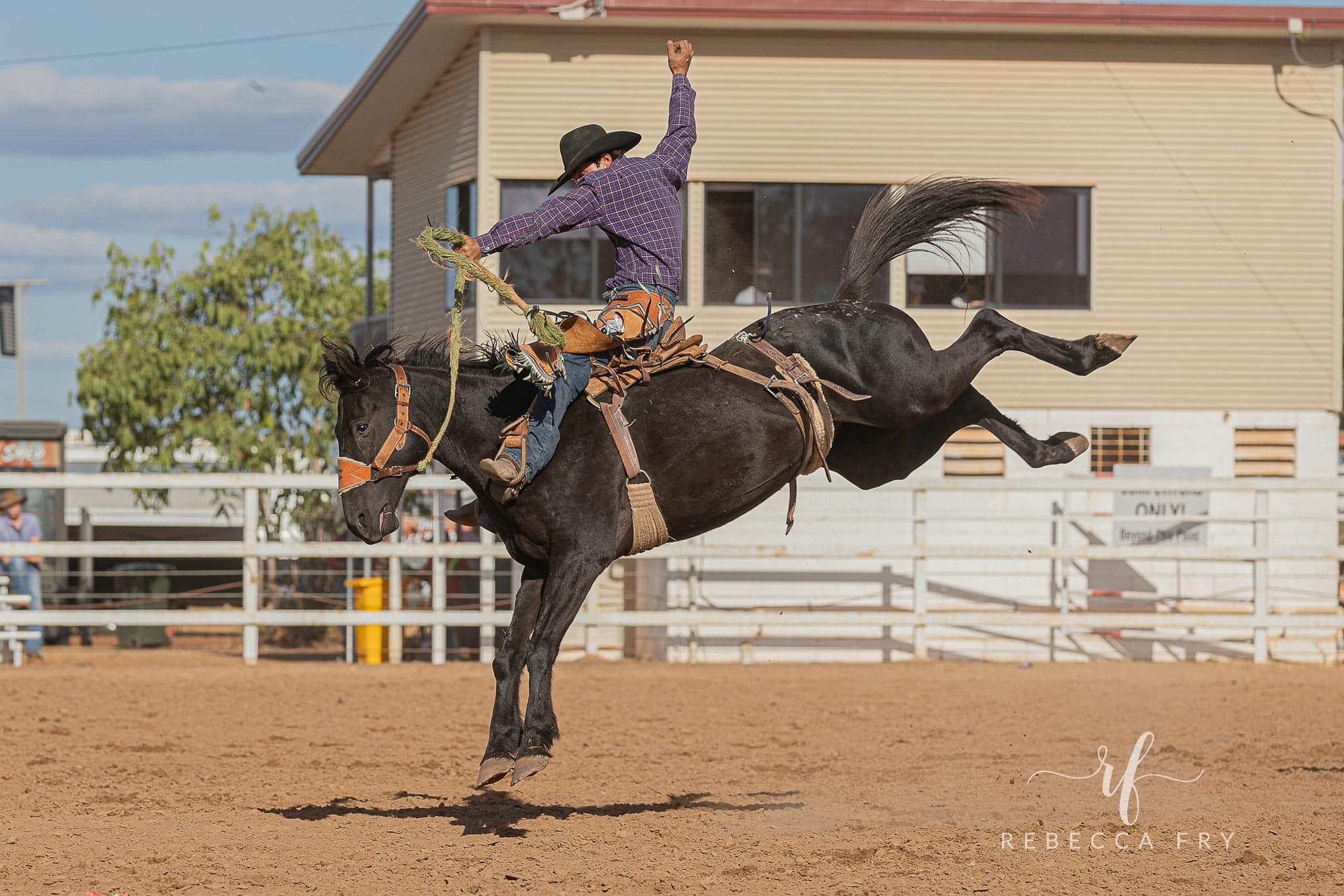 Normanton - Open Bronc Ride – NQ Rodeo Hub