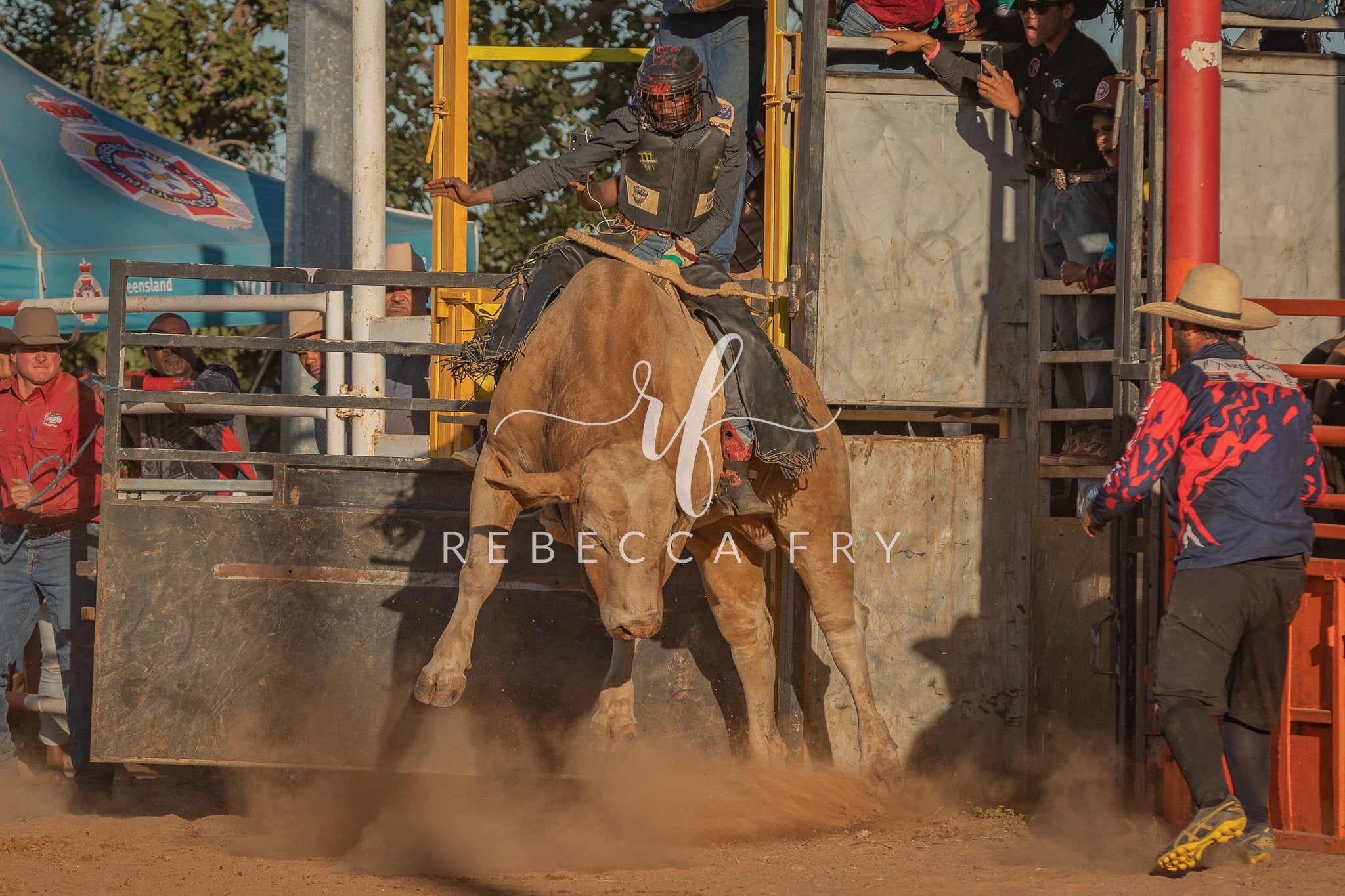 Normanton - Open Bull Ride – NQ Rodeo Hub