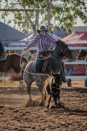 NQ Rodeo Hub