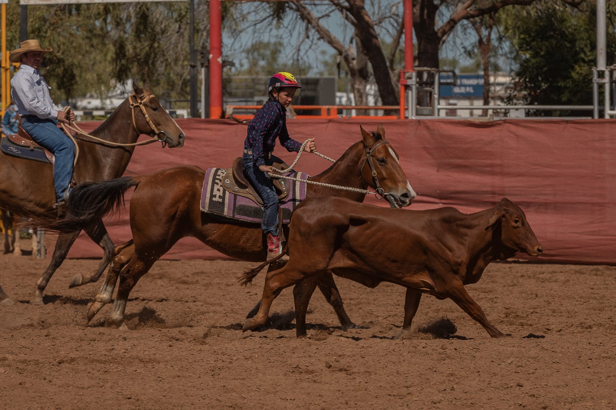 Normanton Rodeo - Team Penning only ONE team member needs to nominate ...