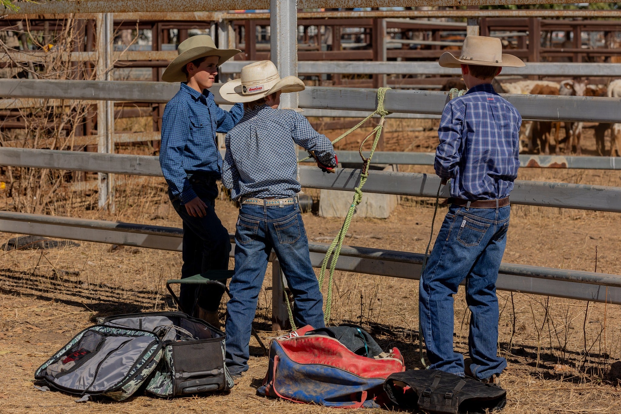 Normanton - Mini Bull Ride (9-12yrs ) – NQ Rodeo Hub