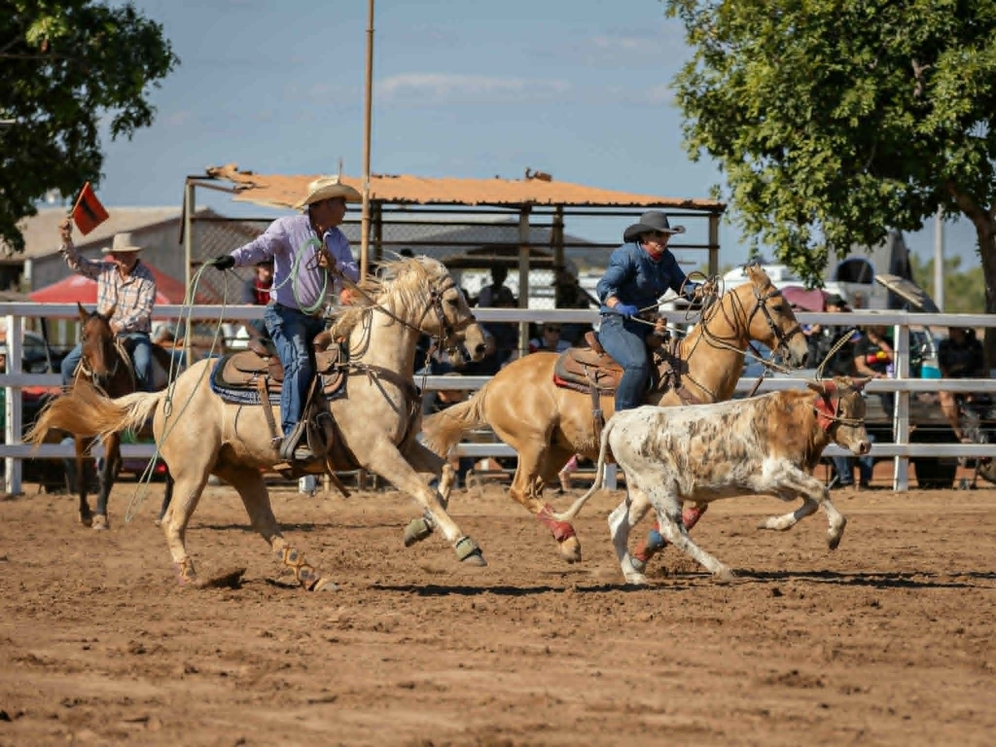 Normanton Rodeo – NQ Rodeo Hub